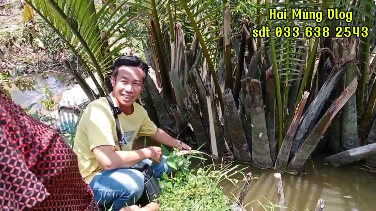khảo sát cất nhà cho bà cụ ở trong chuồng heo | Hai Mùng Vlog - YouTube