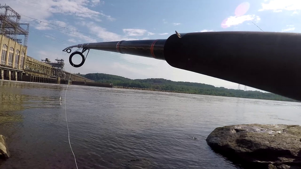 Conowingo Dam Fishing - YouTube