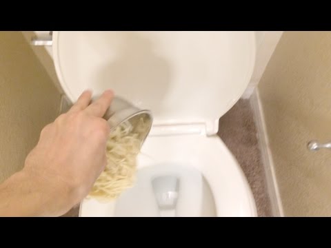 Flushing a Spaghetti Dinner - Toilet Flush Test - YouTube