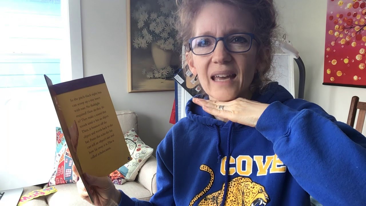 Bats National Geographic Kids - YouTube