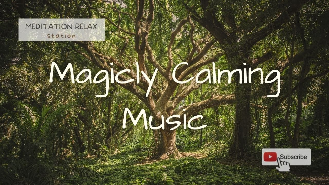 Calming Music with Magical Nature | Relaxing Piano Music 🍃 - YouTube Music
