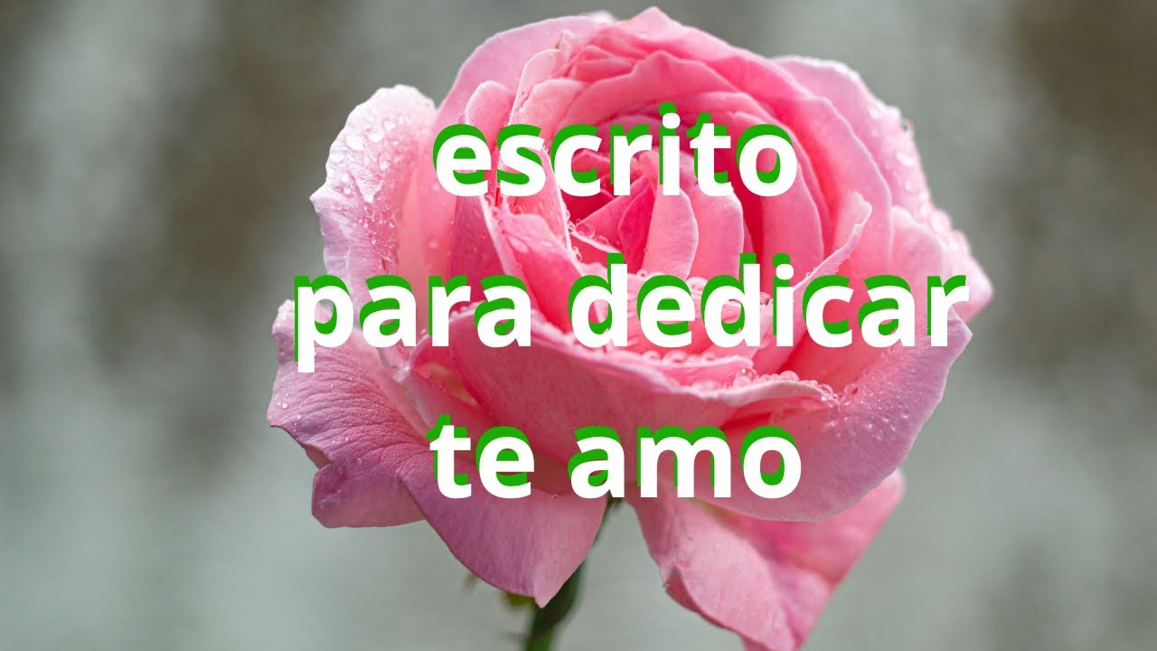 💕 escrito de amor para decirte todo lo que te amo briza de amor frase ...
