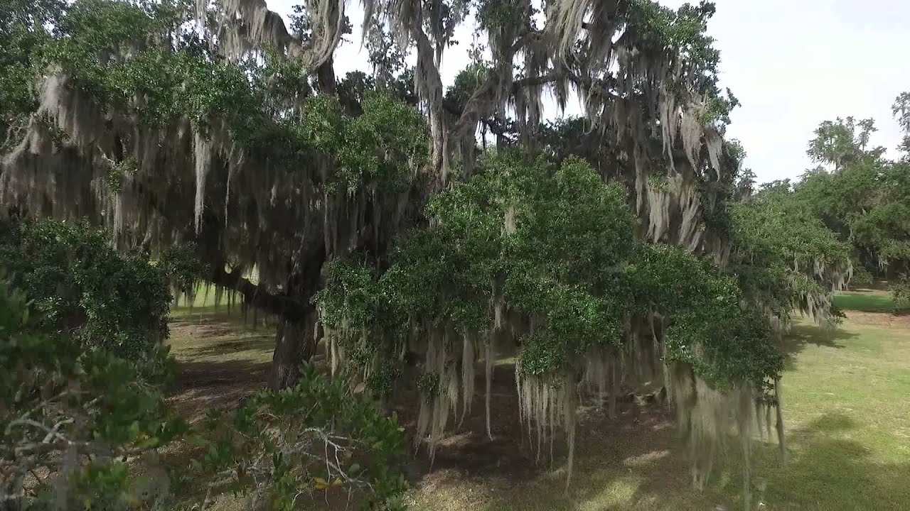 Louisiana - Fontainebleau State Park, Tchefuncte River - Phantom 3 ...