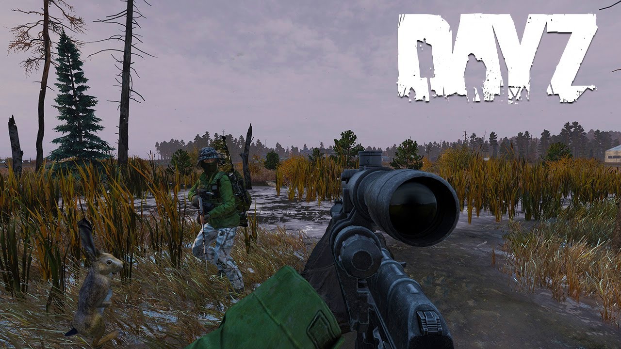 DayZ | Operation Red Live - YouTube