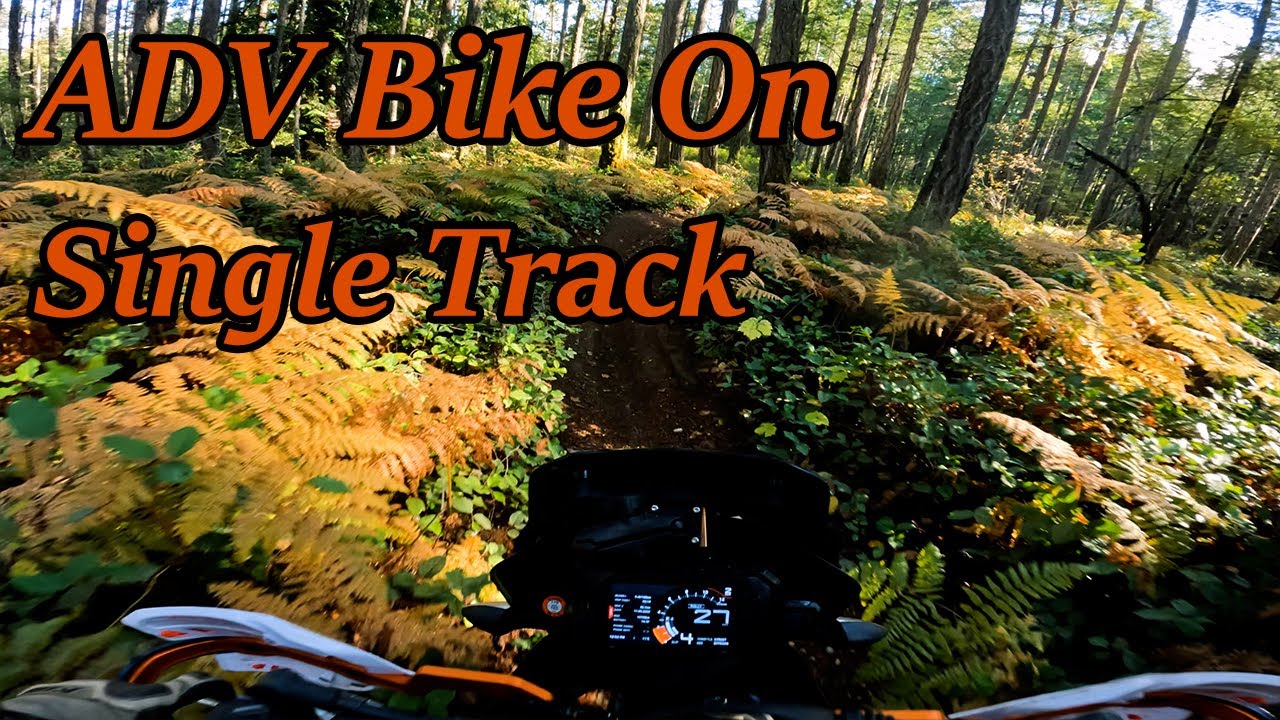 Beautiful Fall Riding - ADV Bike On Single Track - YouTube
