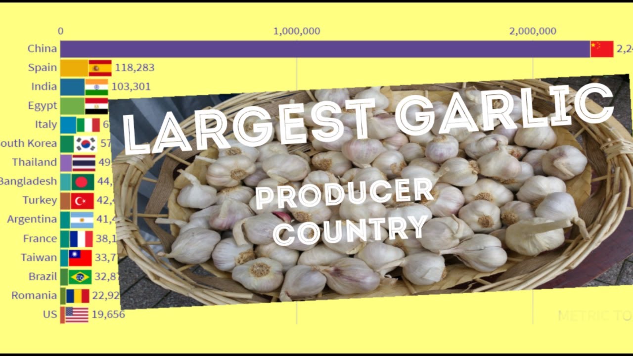 LARGEST GARLIC PRODUCER COUNTRY |1961 2019 - YouTube