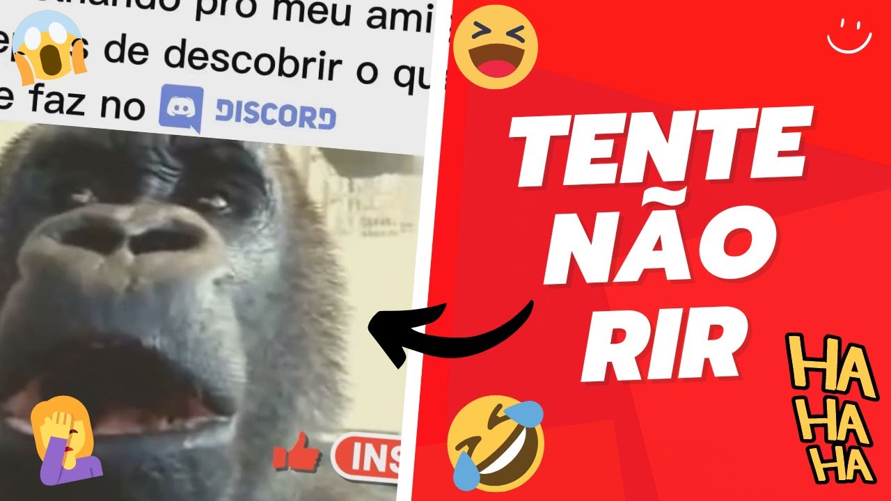 Esses memes vão te fazer esquecer de todos os seus problemas! # ...