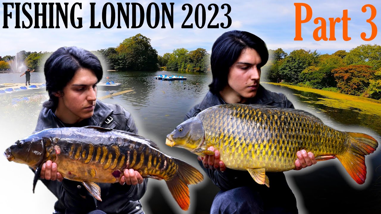 Big GHOST Carp caught while STALKING Carp in Park Lakes - URBAN Fishing in LONDON - YouTube