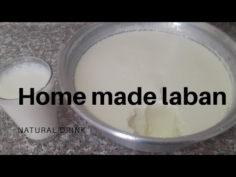 Fast way of making healthy home made milk Laban. - YouTube