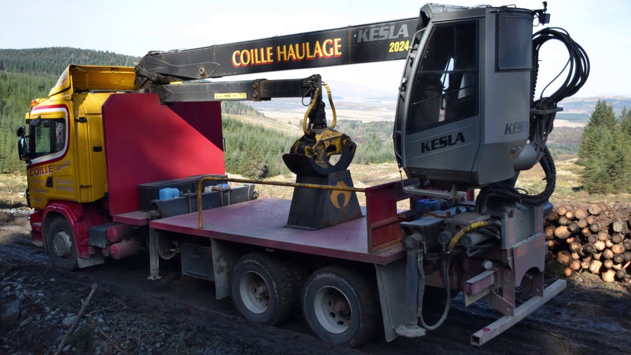 Forest Machine Magazine A Year In Photos - YouTube