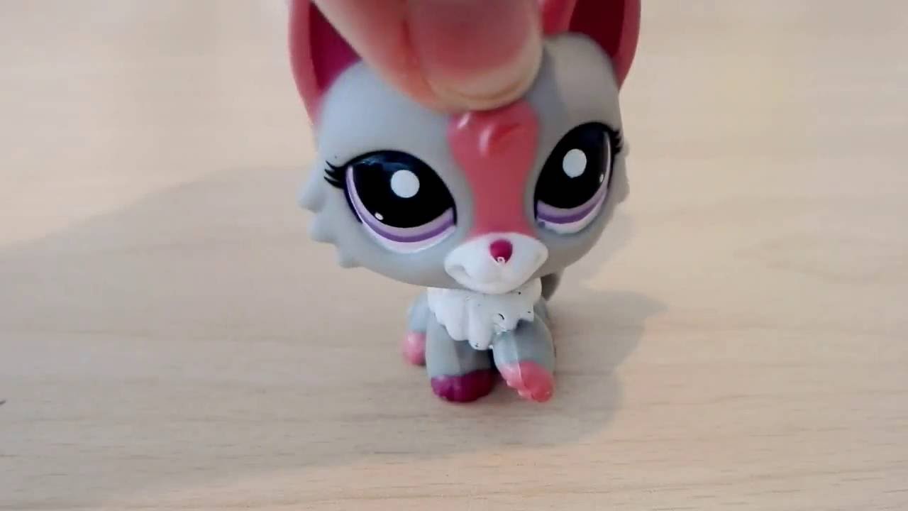 LPS CUSTOM Merle Husky REVIEW - YouTube