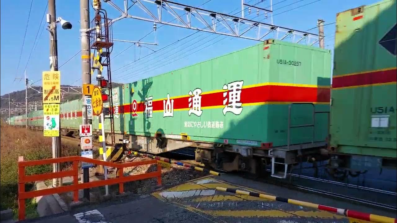 EF210-123(新鶴) 55レ - YouTube