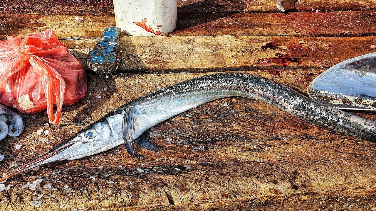 WoW 5ft Long Gar Fish Slicing | Amazing Fish Cutting Skills - YouTube