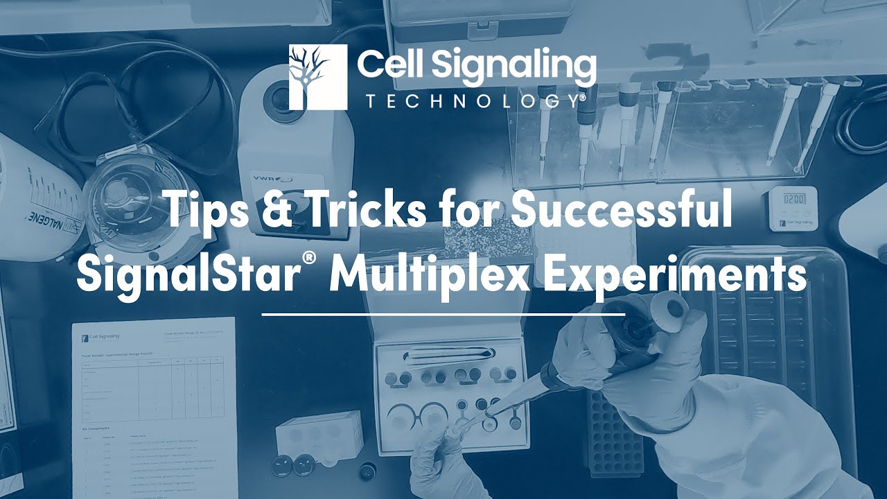 Tips & Tricks for Successful SignalStar® Multiplex Experiments - YouTube
