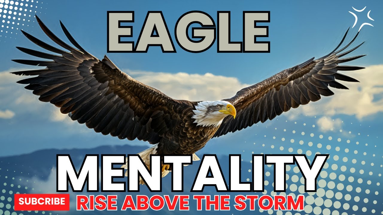 Eagle Mentality: How to Soar Above the Competition | Stoicism ...