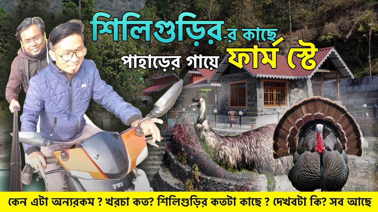 Tudor Farm Cottages : homestay in Kurseong's Rohini Tea Garden, Perfect ...