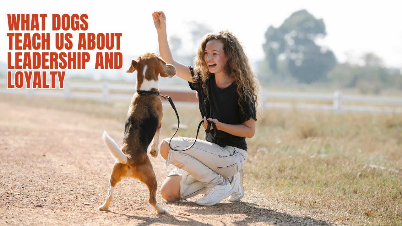 🐶🏆 What Dogs Teach Us About Leadership and Loyalty 🦴 - YouTube