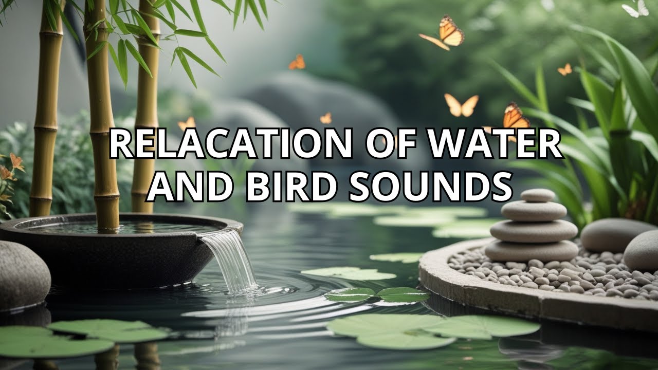 RELACATION OF WATER AND BIRD SOUND - YouTube
