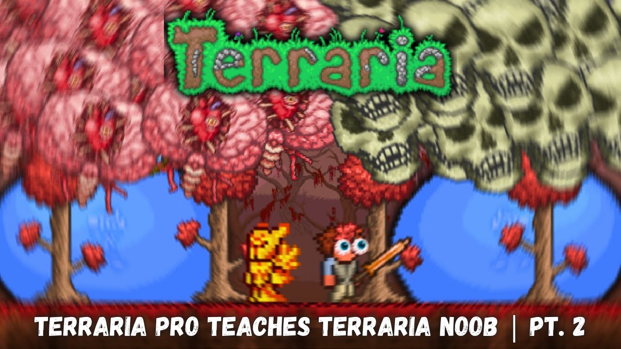 Terraria Pro Teaches Terraria Noob | Pt. 2 (FT. NEDIAMEDIA) - YouTube