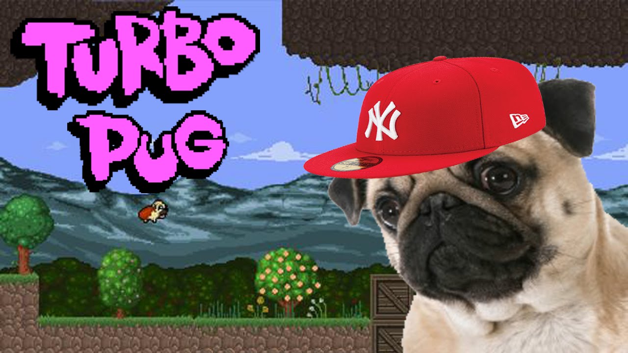 Cachorro boladão - Turbo Pug - YouTube