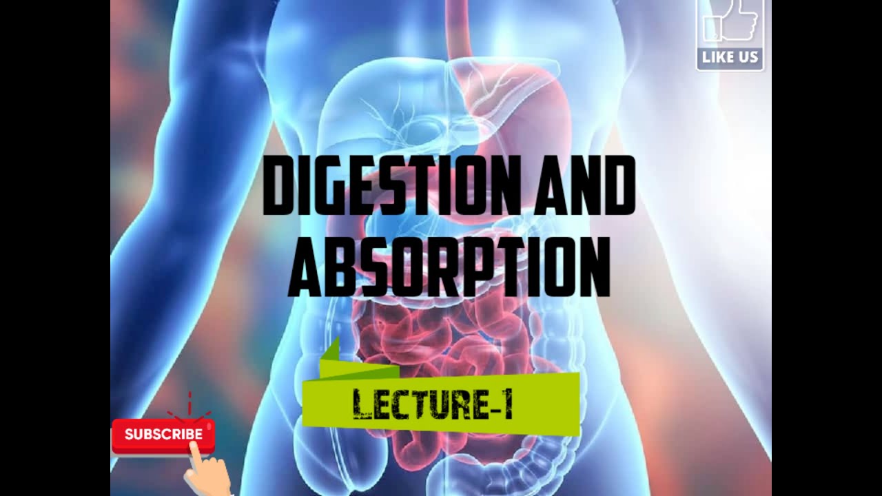 Digestion and Absorption||Class 11th||Ncert Explanation||Part 1|| - YouTube