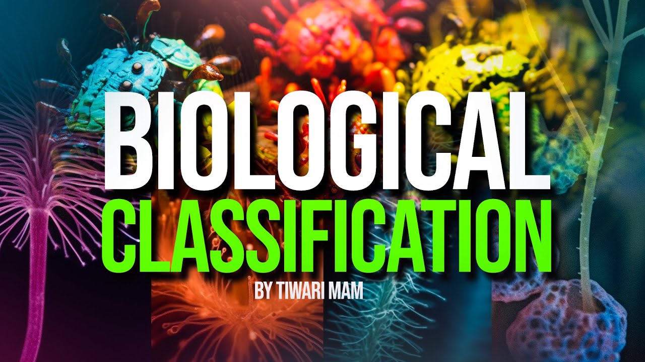 Biological Classification | Class 11 Biology // - YouTube
