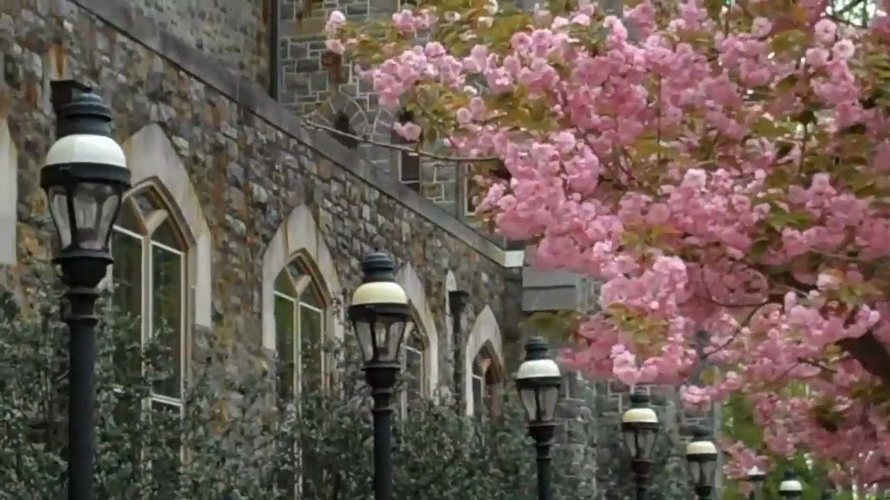 Lehigh - The University Center in Packer Hall - YouTube