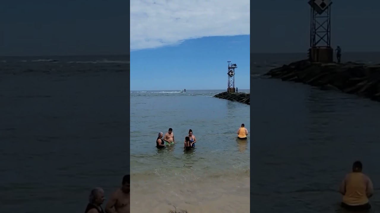 Let's go swimming and have some raw oysters!!! - YouTube