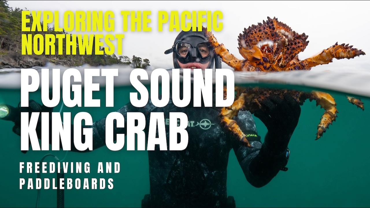 A CRAZY UNDERWATER EXPERIENCE | Puget Sound King Crab Hunt on Paddle ...