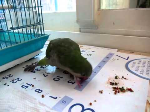 990929玩玩具 - YouTube