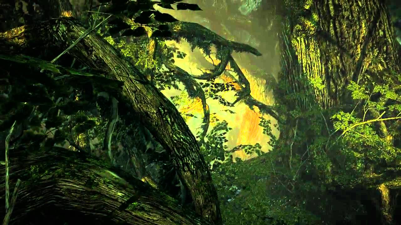 The Witcher 2 Ingame Cut Scene - YouTube