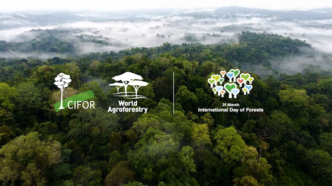Home | CIFOR-ICRAF