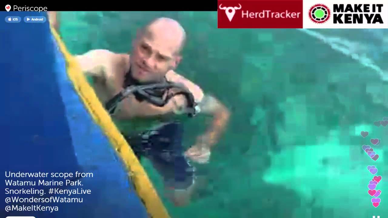 Underwater scope from Watamu Marine Park. Snorkeling. #KenyaLive ...