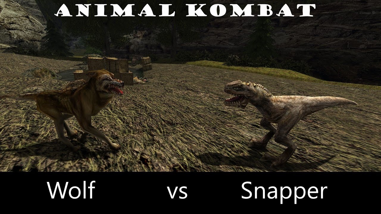 Gothic 2 - Animal Kombat - Wolf vs Snapper - YouTube