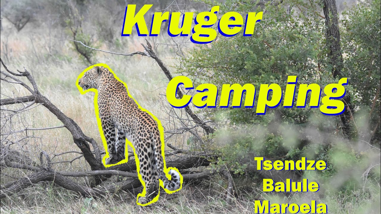 Satellite Tour | Maroela | Tsendze | Balule | Camping in Kruger ...