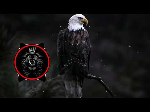 Jarico - U Remix ( ATTITUDE KING ) 😈😈😈😈
