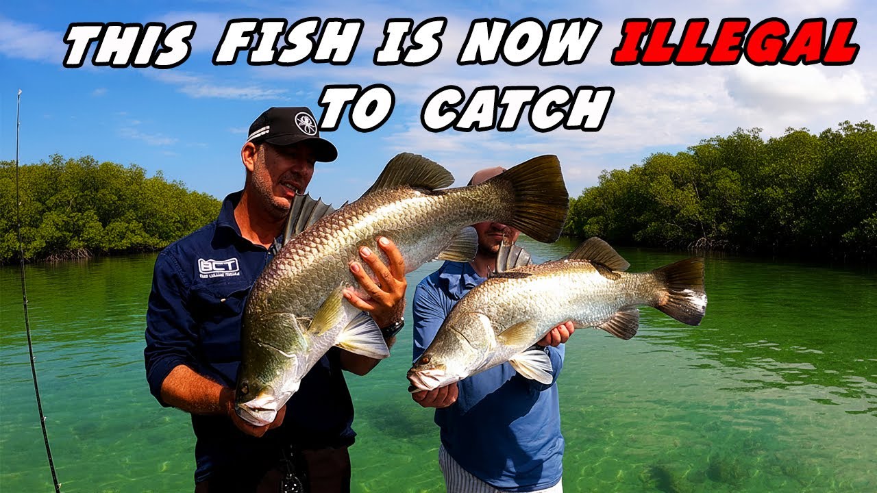 Why You CAN’T Catch This FISH ( Current Law ) - YouTube