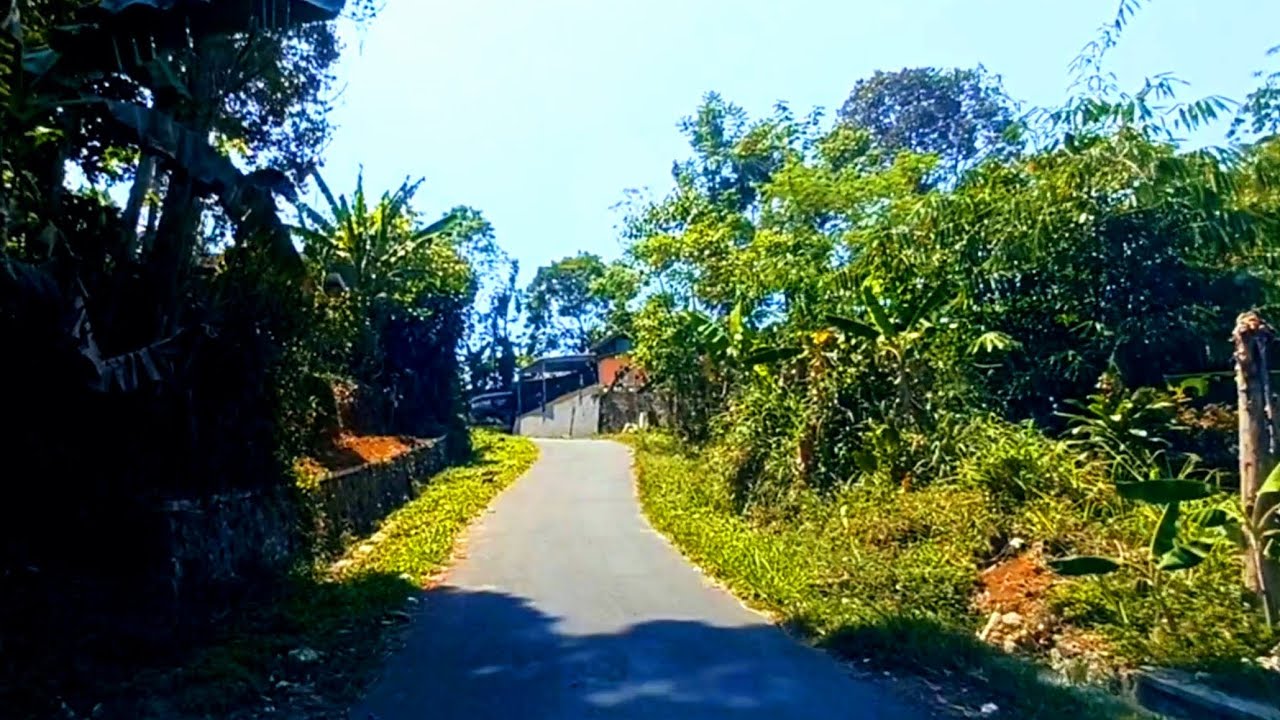 Pemula Nyetir Mobil Manual Di Jalan Sempit Dan Tanjakan Curam Episode ...