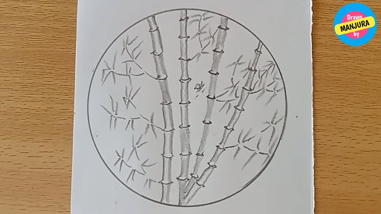 Easy Bamboo tree drawing || bamboo drawing step by step for beginners ...