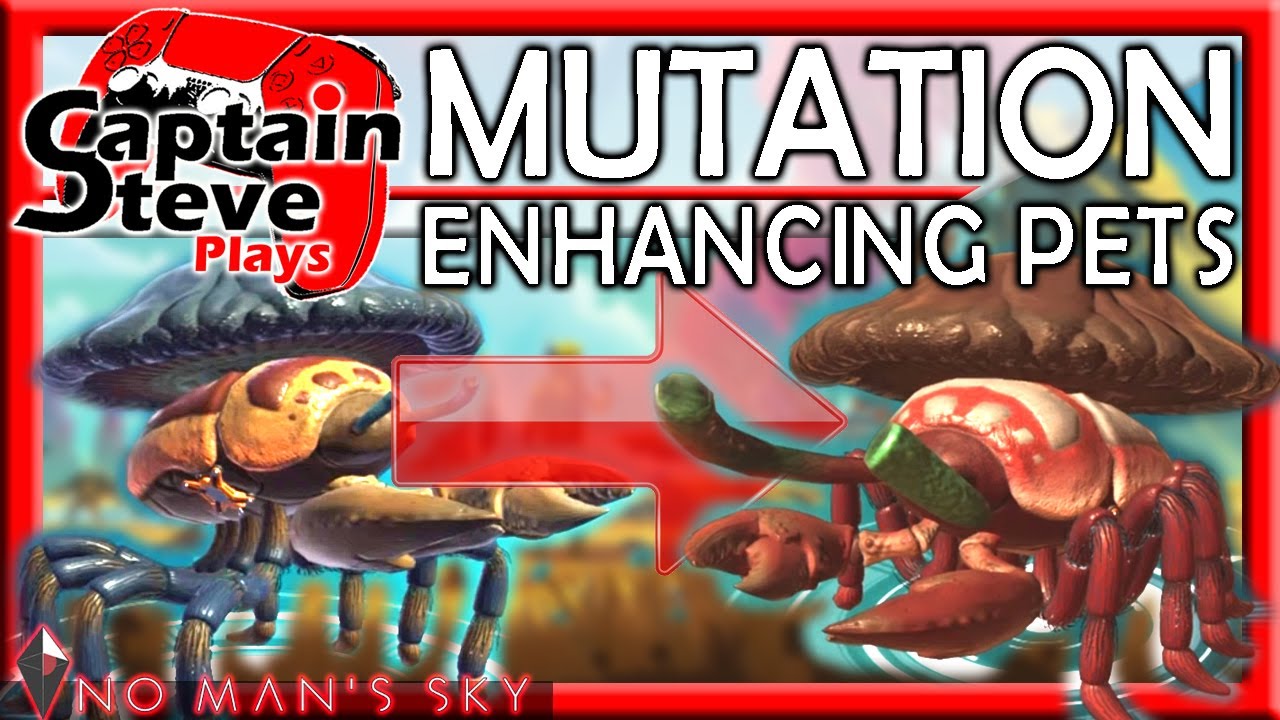No Man's Sky Enhancing Pets How To Max Stat Captain Steve Plays NMS ...
