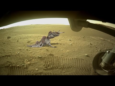Mars Real Mind-blowing Photographs Taken By Perseverance Rover | Live ...