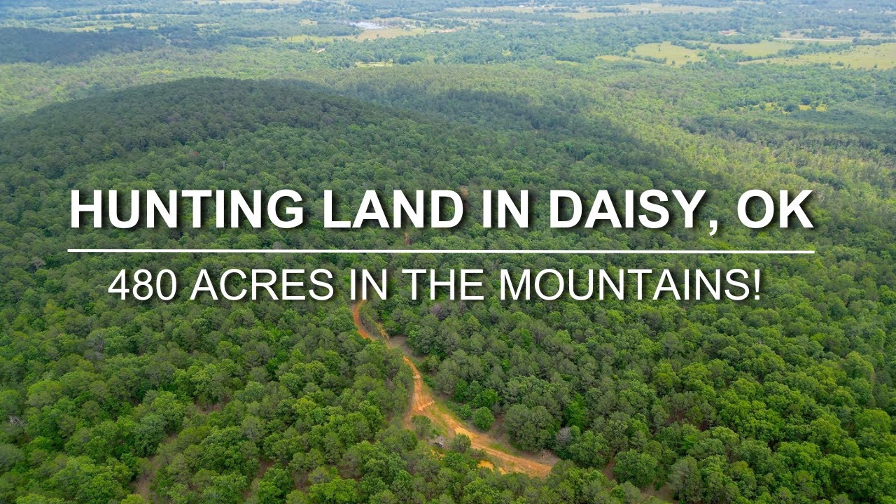 480 Acres of Hunting Land in Daisy, Oklahoma for Sale - YouTube