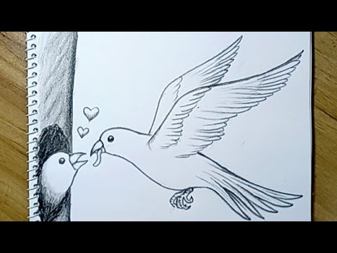 How to draw flying Bird //drawing a mother Bird feeding her baby - YouTube