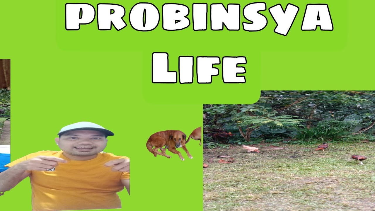 probinsya life... macmactv - YouTube