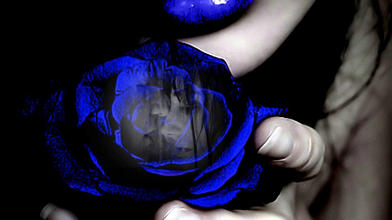 Michele Zarrillo Una rosa blu Montaż Katarzyna Catalina Popławska - YouTube