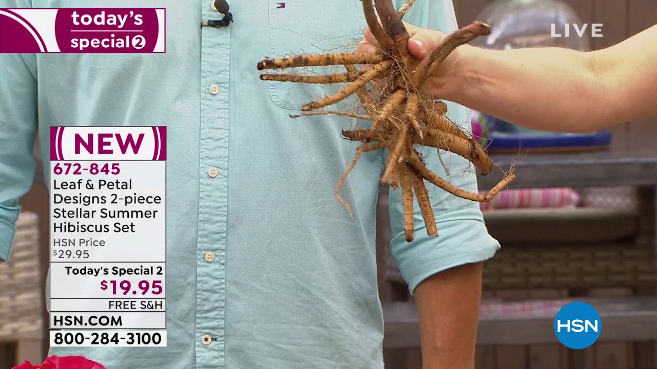 HSN | Gardening with Guy Yovan 05.11.2019 - 08 AM - YouTube