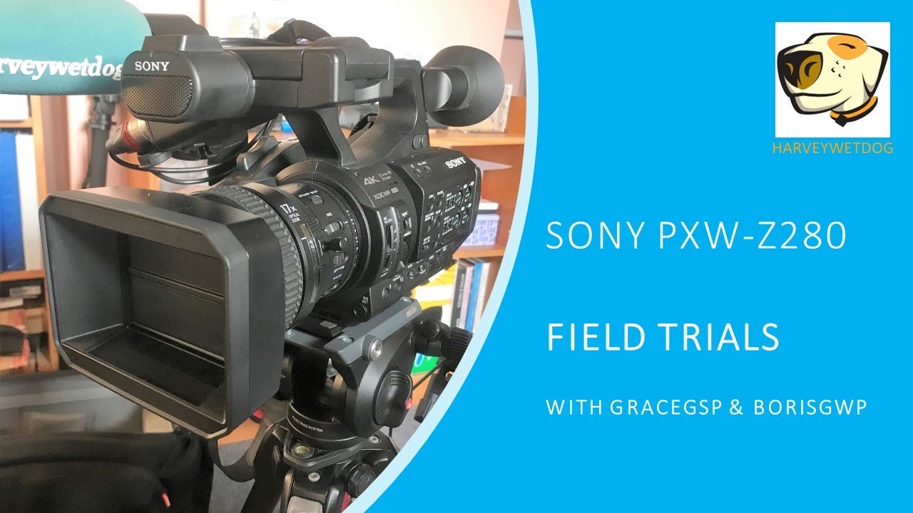 Sony PXW-Z280 field trials #dogsofyoutube - YouTube