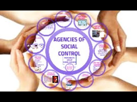 Crash Course-Control Of Social Agencies |Cambridge International AS & A ...