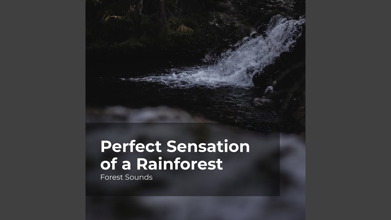 Rippling Stream Birds - YouTube