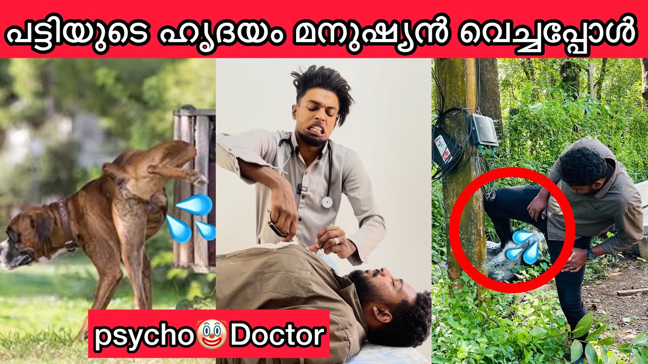 Psycho🤡Doctor പട്ടിയുടെ ഹൃദയം മനുഷ്യൻ വെച്ചപ്പോൾ സംഭവിച്ചത്🙊😱 - YouTube